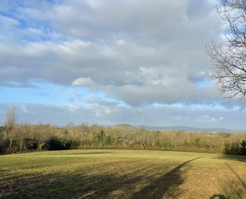 Park homes for sale in Newton Abbot | Visit Haytor View